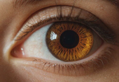 🍯 Honey Brown Eyes: All about it + Fashion and Eyewear Tips!