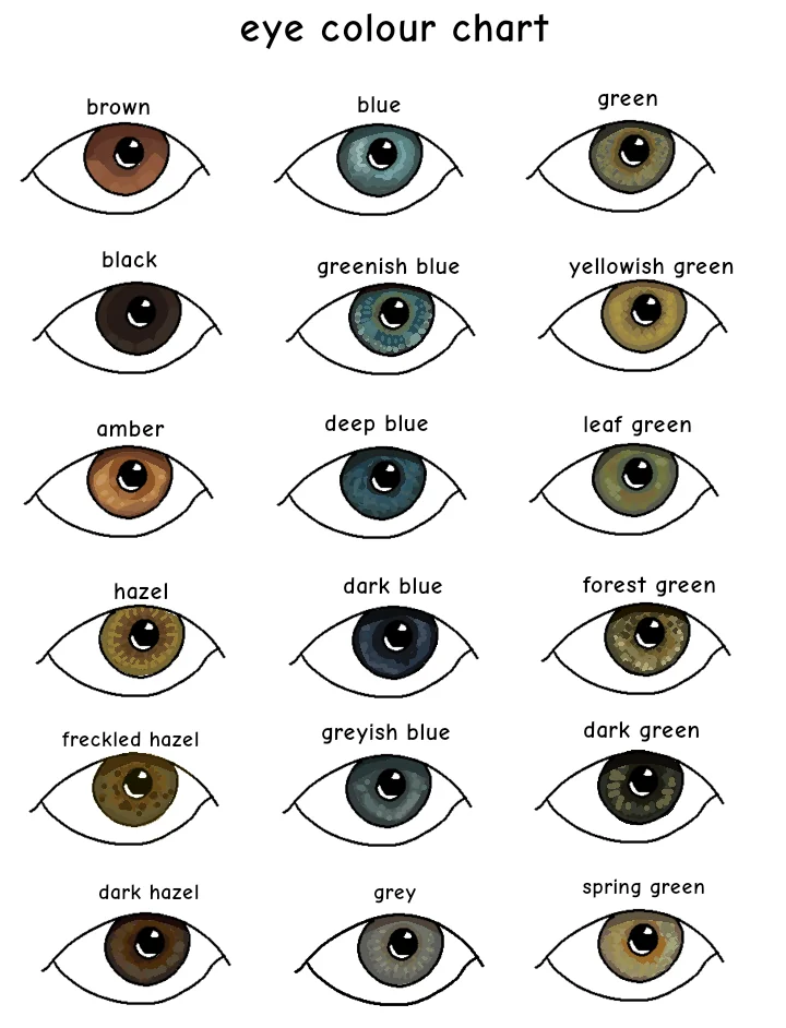 Natural Eye Color Chart: Understanding Shades and Colors